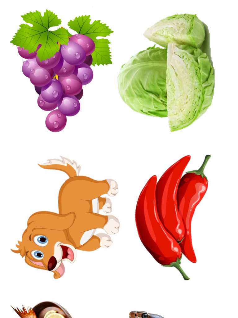 Likes and Dislikes | PDF