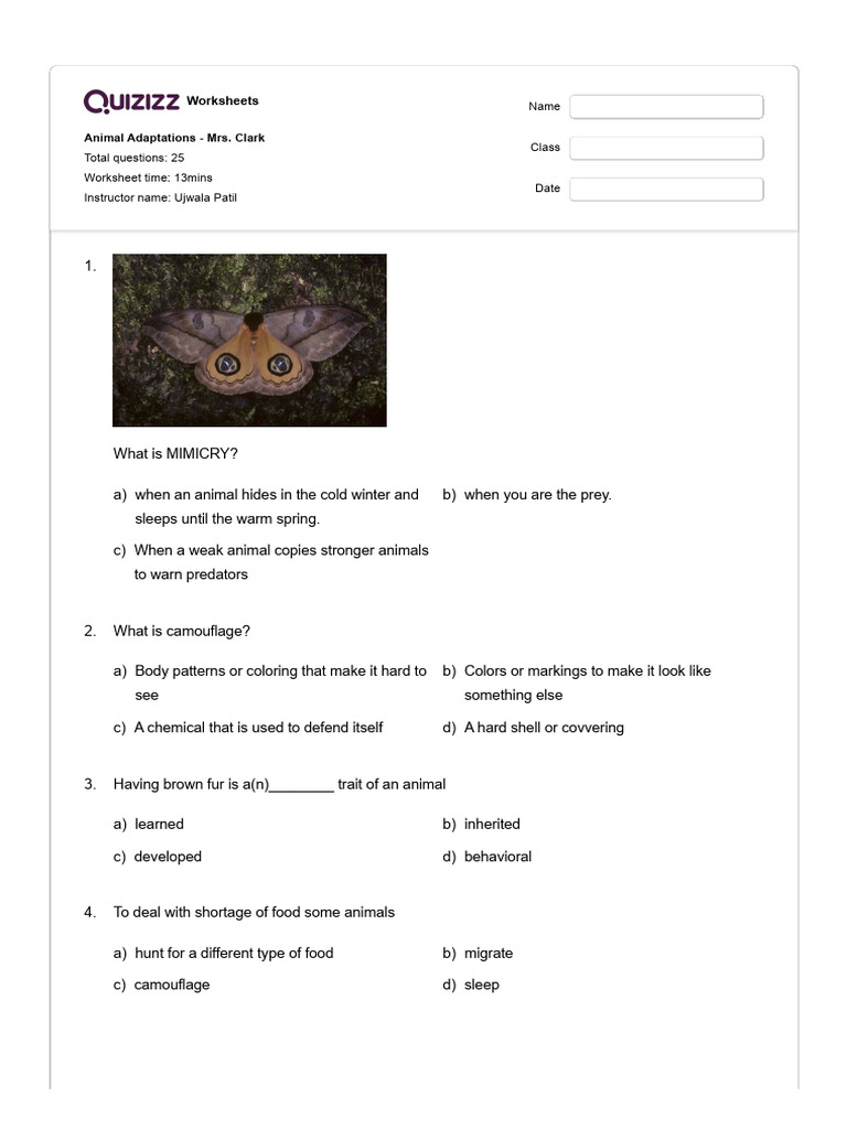 Animal Adaptations Worksheet | PDF | Natural Selection | Adaptation