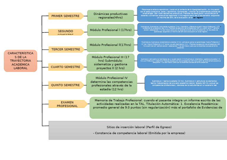 ORGANIZADOR GRÁFICO Características de la trayectoria | PDF | Cognición | Aprendizaje