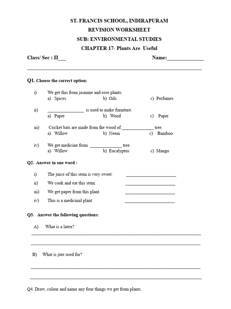 Class II Revision Worksheet CH16 New (1) | PDF