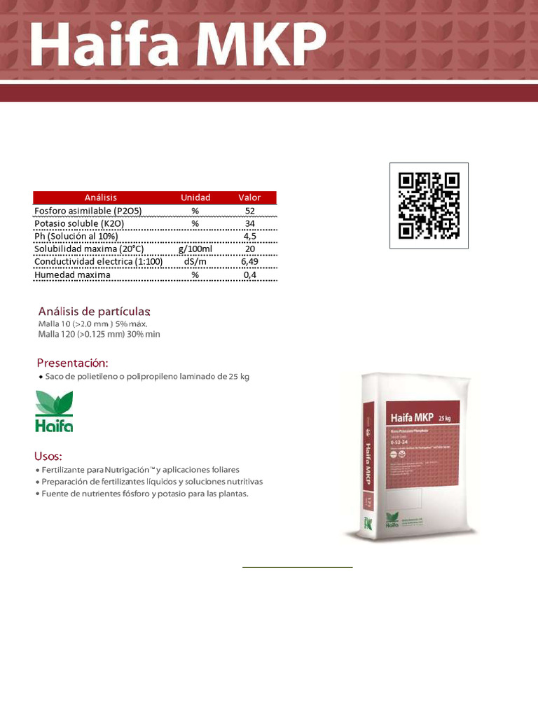 FT Haifa Mkp-Grupo Molicom Pioneros Segundo Nivel | PDF