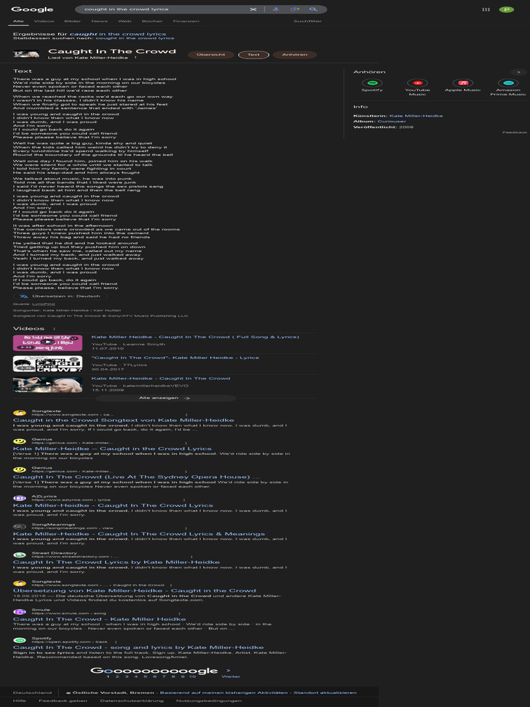Caught in the Crowd Lyrics Overview | PDF