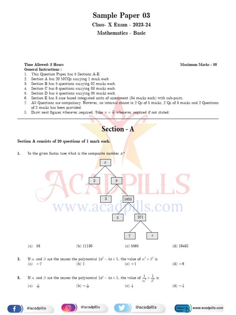 13159881937848Maths Basic Exclusive sample paper (2) | PDF | Circle | Triangle