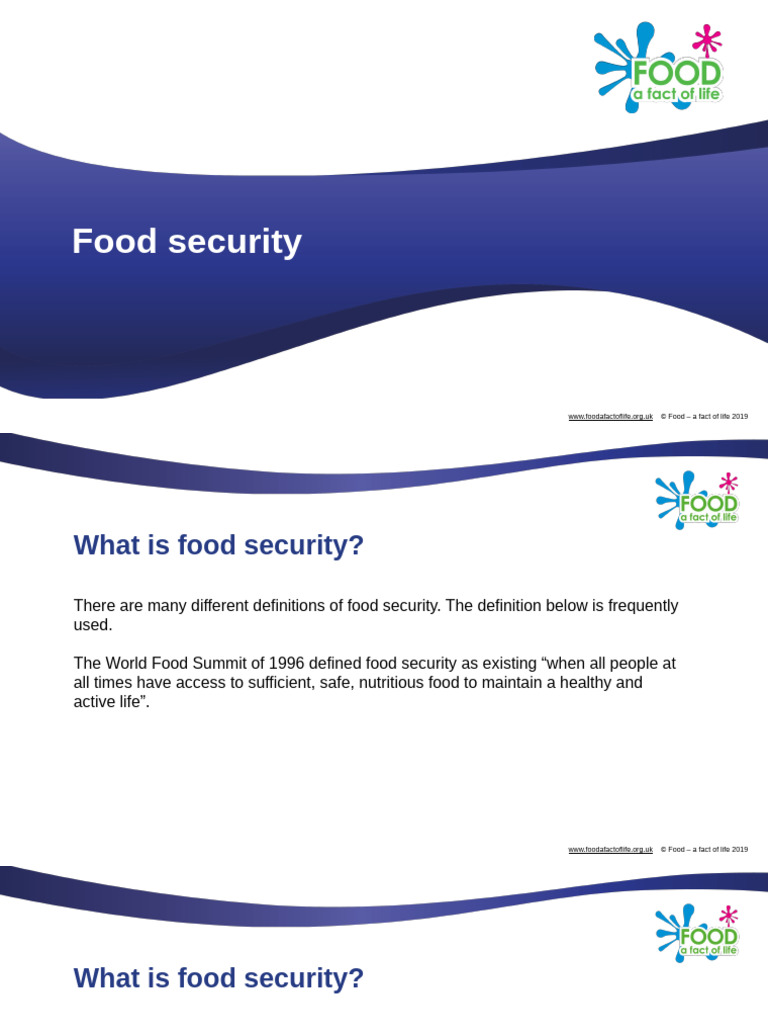 Food Security PPT 1416ca | PDF | Food Security | Foods