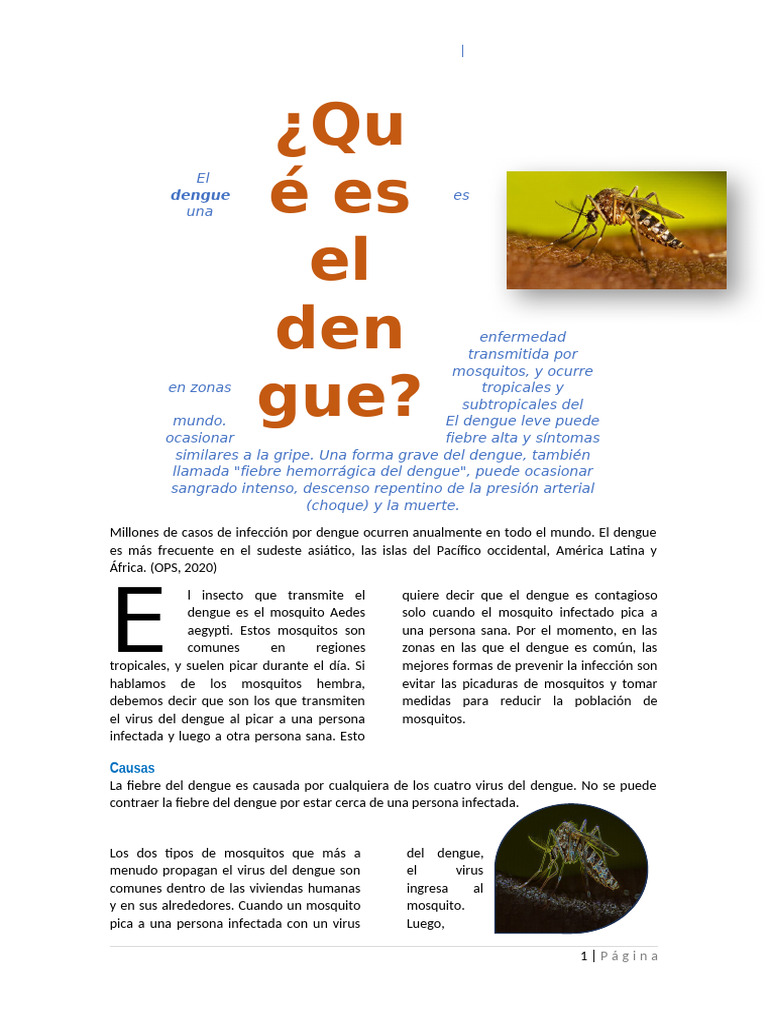 viera solano didsy | PDF | Especialidades Medicas | Enfermedades y ...