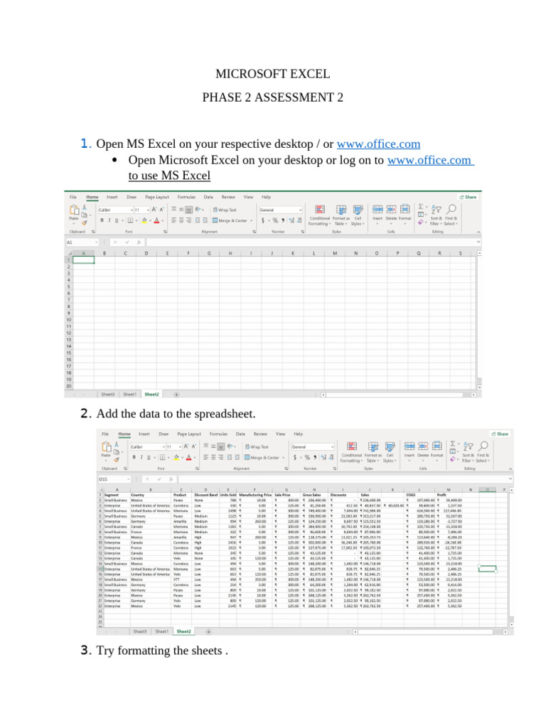 Naan Mudhalvan 3rd semester digital skills Excel Phase 2 Assessment 2 | PDF