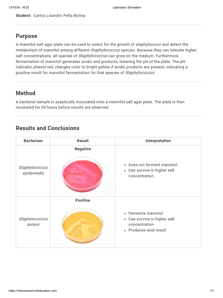 Mannitol Salt Agar Results for Staphylococci | PDF