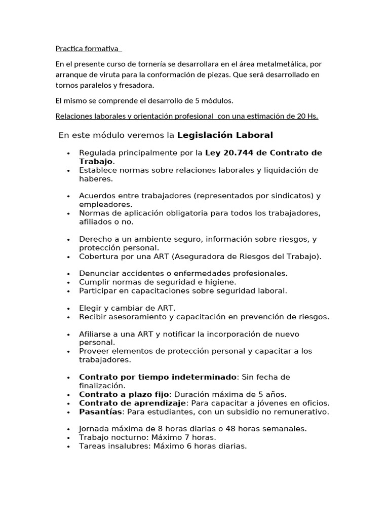 Práctica Formativa | PDF