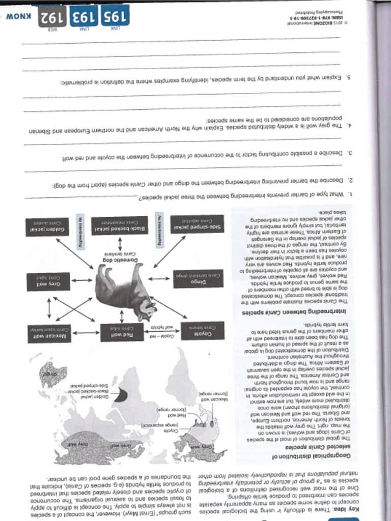 Biozone Worksheets Classification | PDF