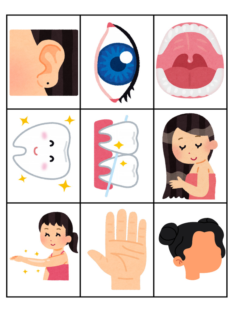 My Body Starters | PDF