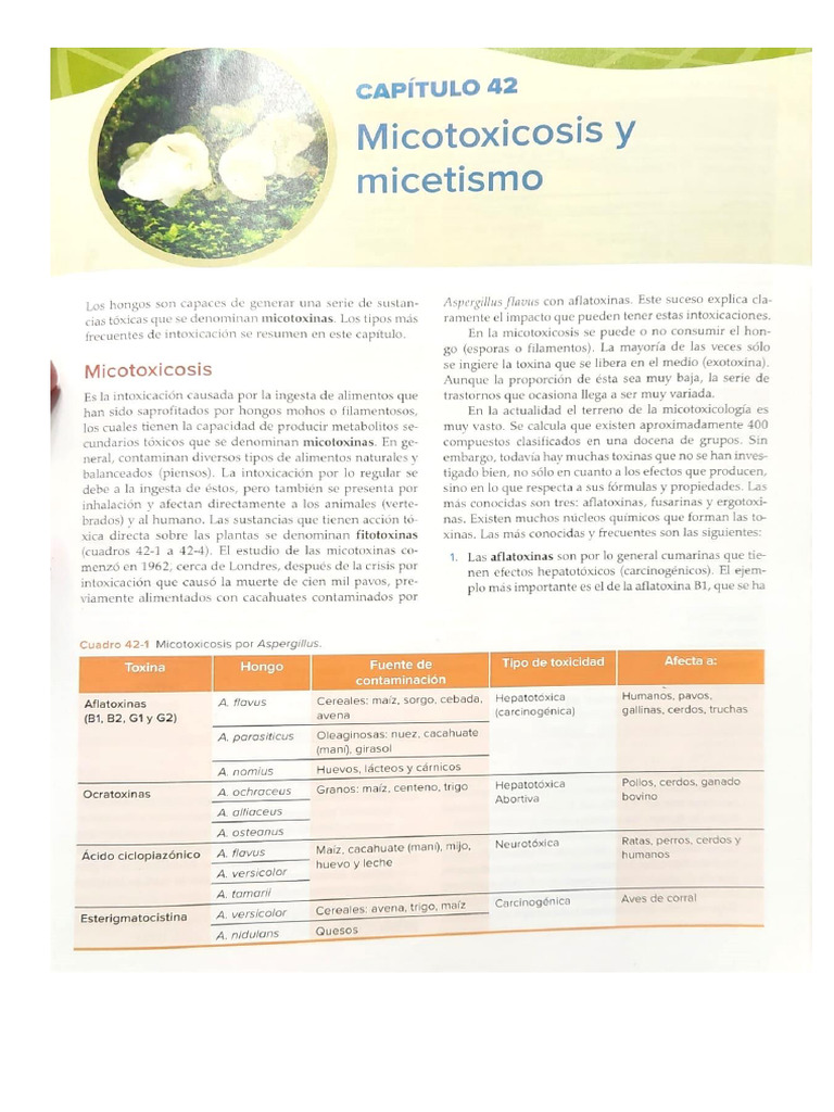 Micotoxicosis y Micetismo | PDF