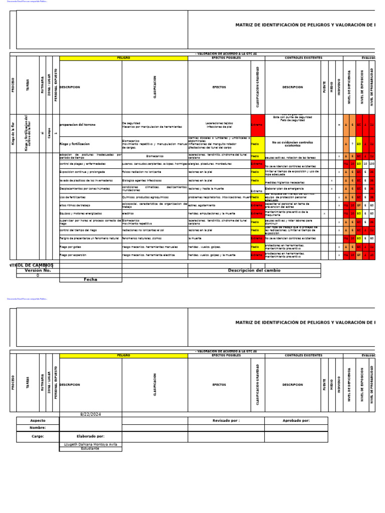 Matriz de Peligros y Riesgos GTC 45 - Dayana | PDF