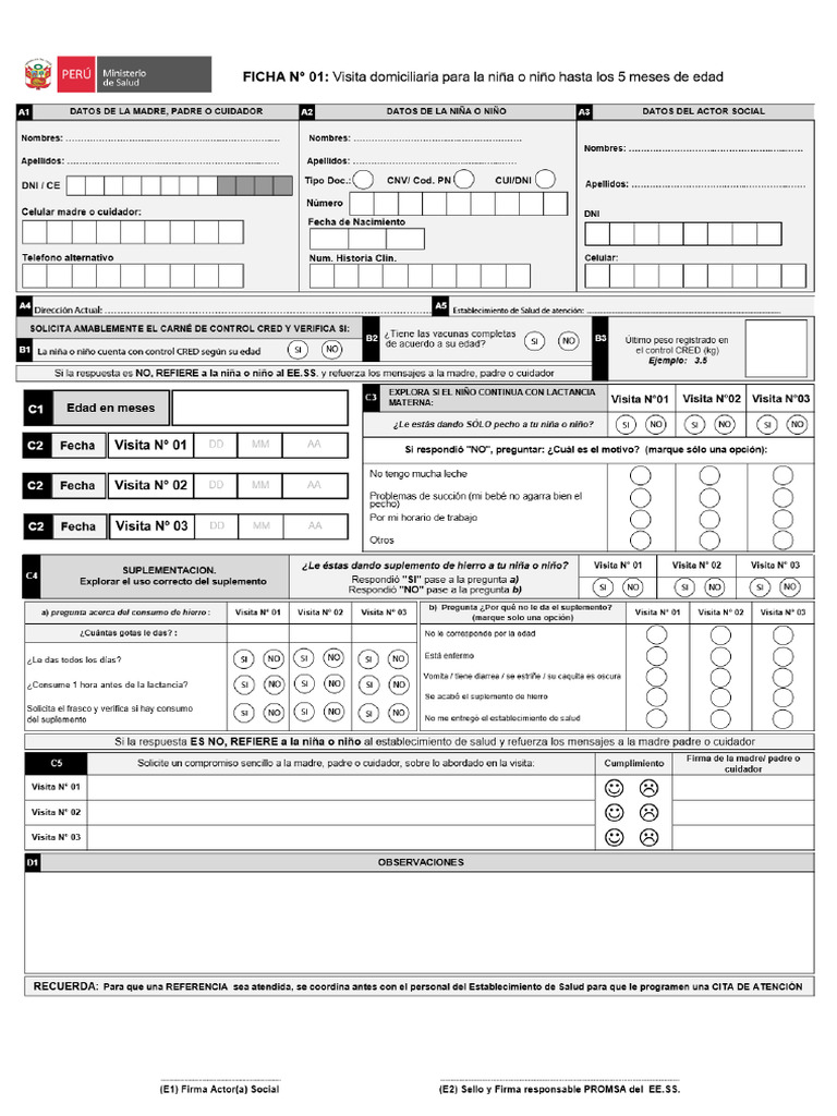 Ficha 1 VD 1 A 5 MESES de EDAD (Edición 2024) .PDF - Ministerio de Salud | PDF