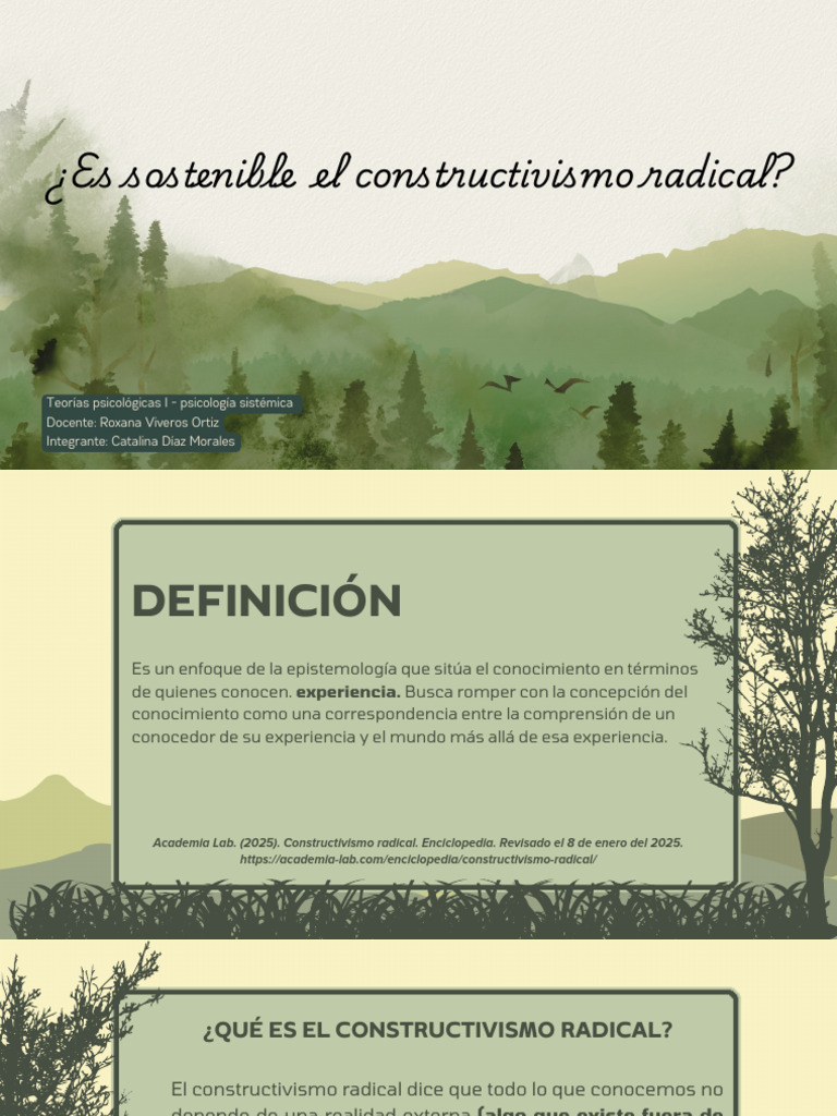 ¿Es Sostenible El Constructivismo Radical | PDF | Experiencia ...