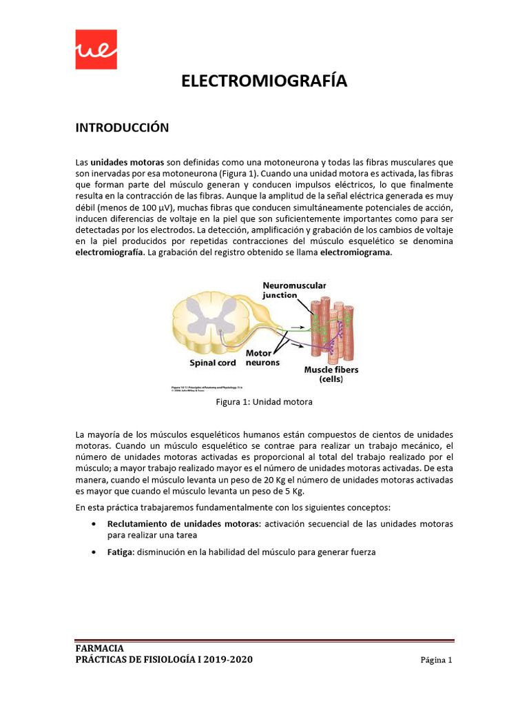 Guión Práctica | PDF | Electromiografia | Músculo