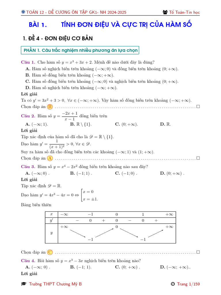 12 de Cuong On Tap Giua Hoc Ki 1 Dapan | PDF