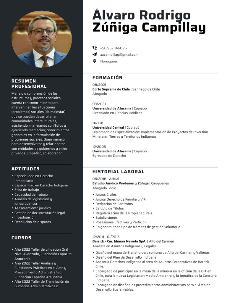 CV Alvaro Zuniga | PDF | Abogado | Justicia