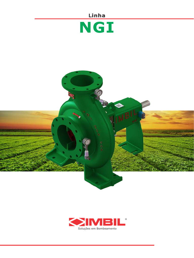 Catalogo Ngi Web Pt Rev 01 | PDF | Bomba