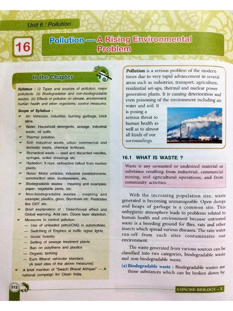 Class 10 Bio - Pollution | PDF