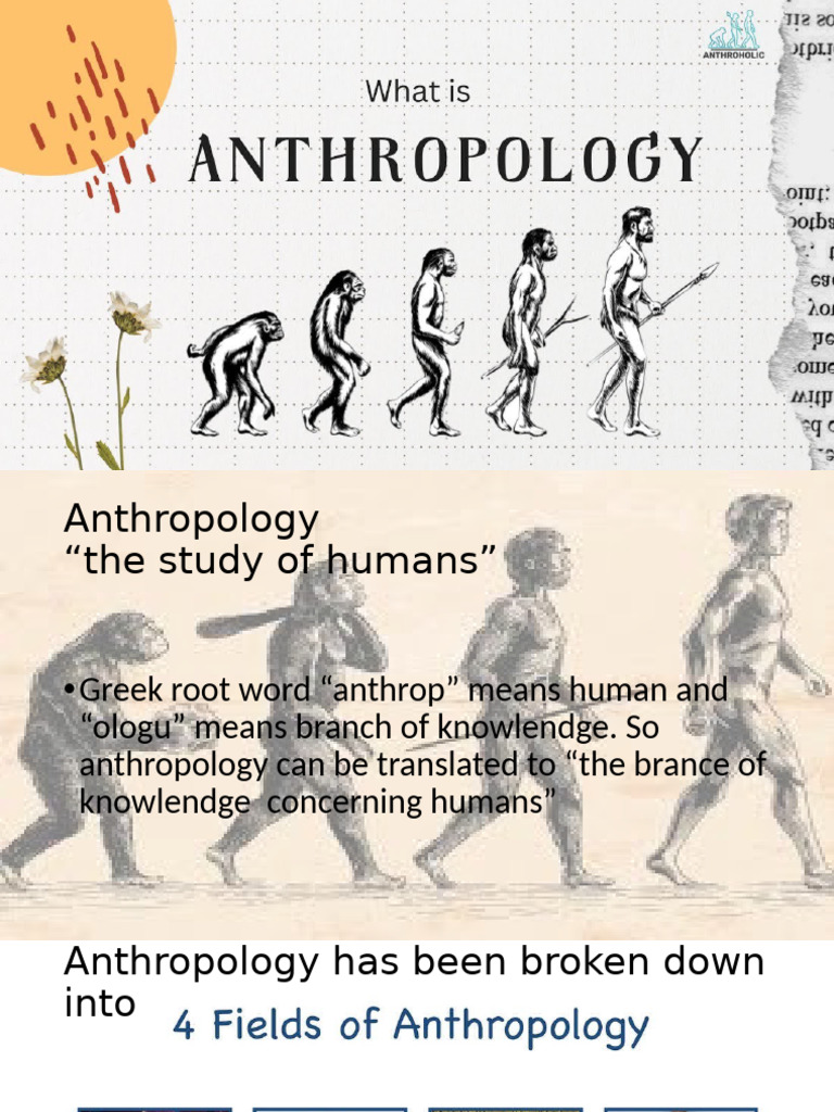 Overview of Anthropology Disciplines | PDF