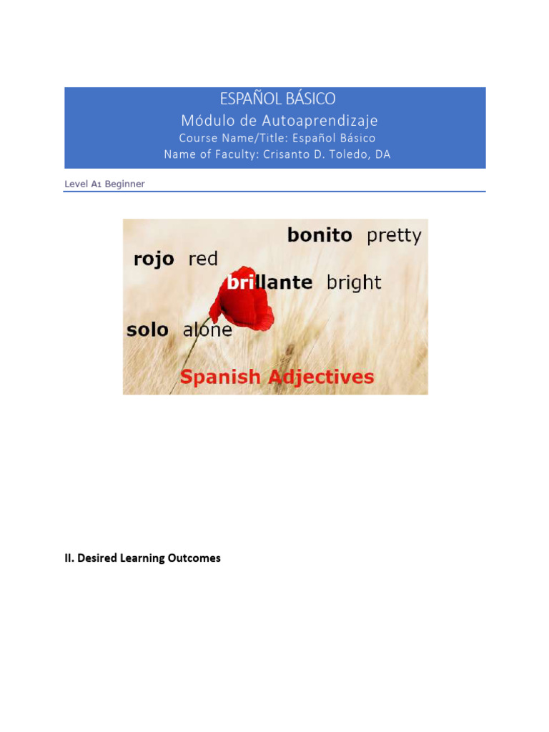 SPAN1 UNIT 10 Spanish Adjectives 1 | PDF