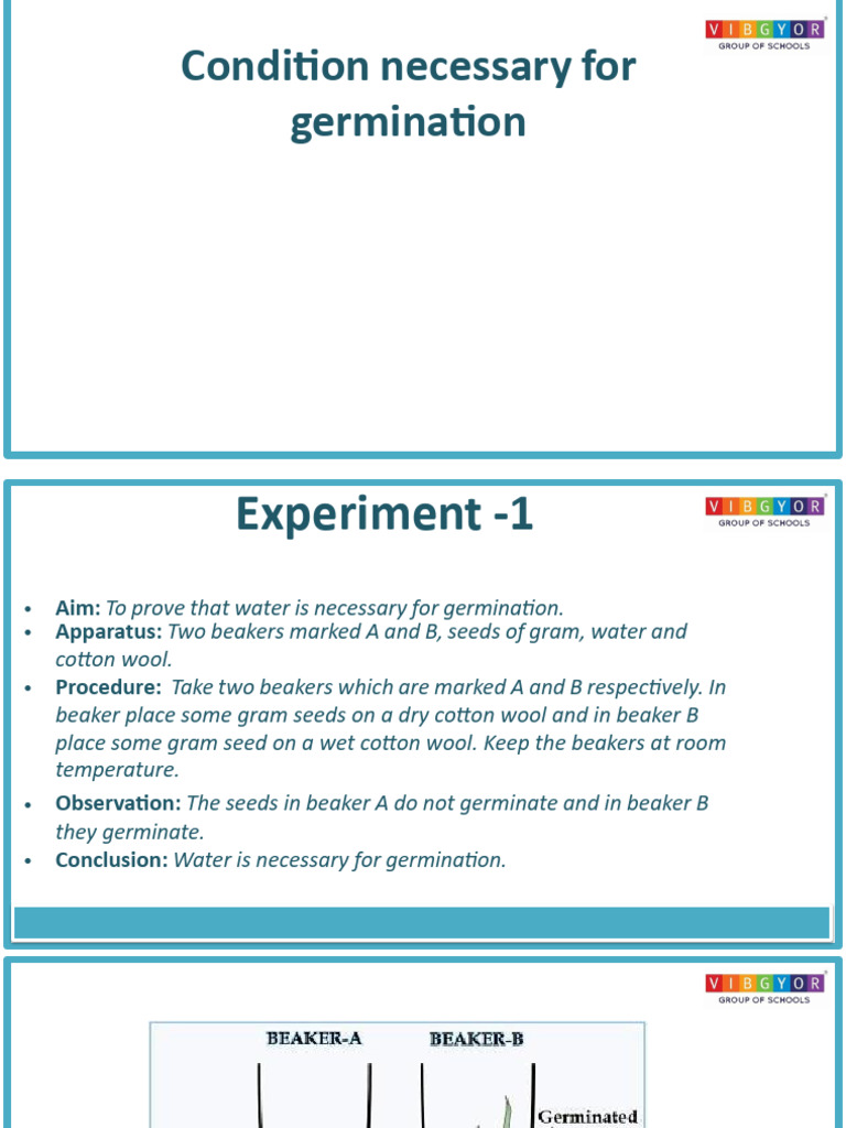 Essential Conditions for Seed Germination | PDF | Seed | Water