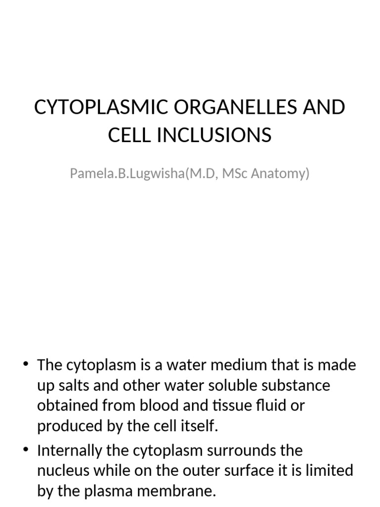 3-Cytoplasmic Organelles and Cell Inclusions | PDF | Endoplasmic ...