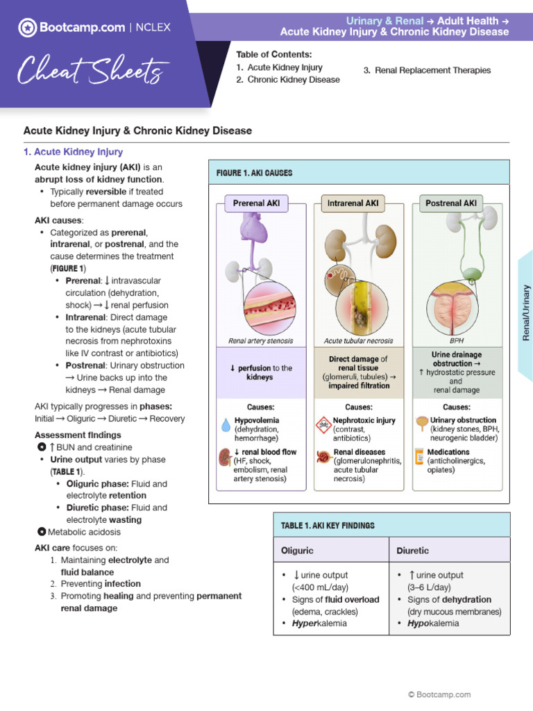 Acute Kidney Injury & Chronic Kidney Disease Cheat Sheet | PDF | Kidney ...