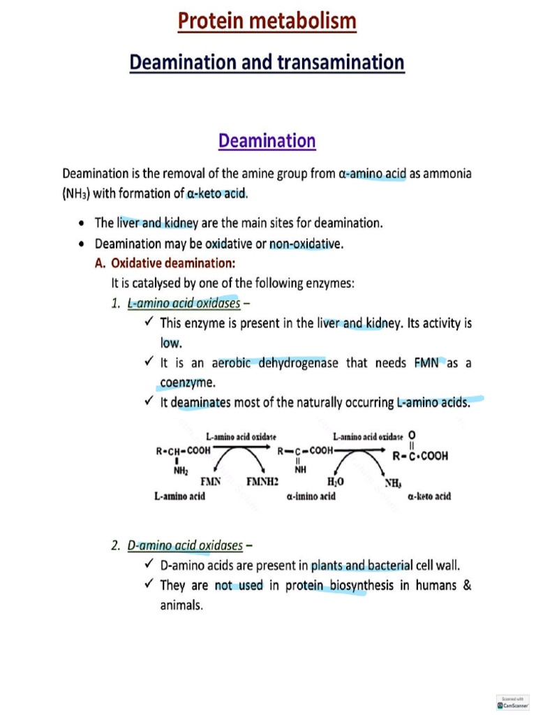 Lecture 1 - Biochemistry II | PDF