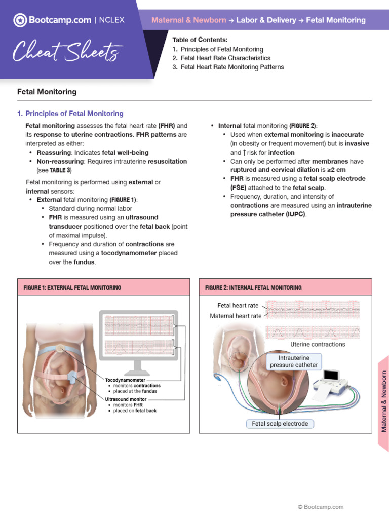 Fetal Heart Rate Monitoring Guide | PDF | Maternal Health | Obstetrics