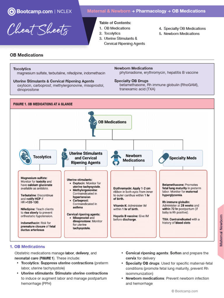 OB Medications Overview and Guidelines | PDF | Childbirth | Mammalian ...