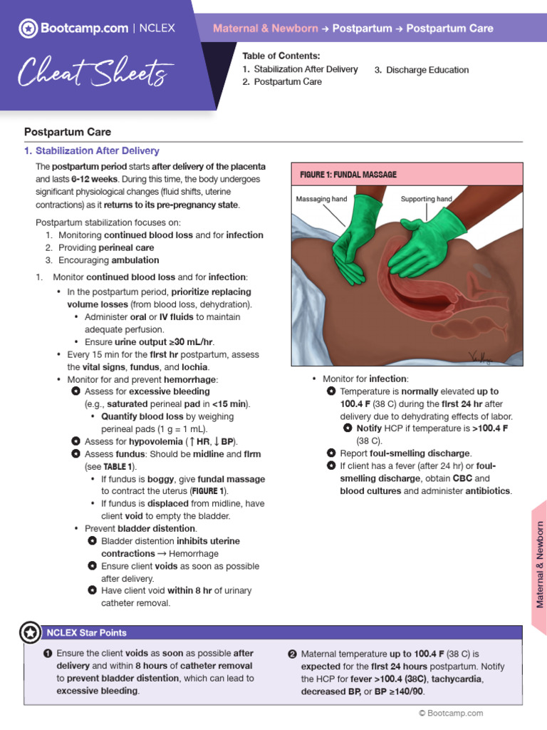 Postpartum Care Cheat Sheet | PDF | Postpartum Period | Childbirth