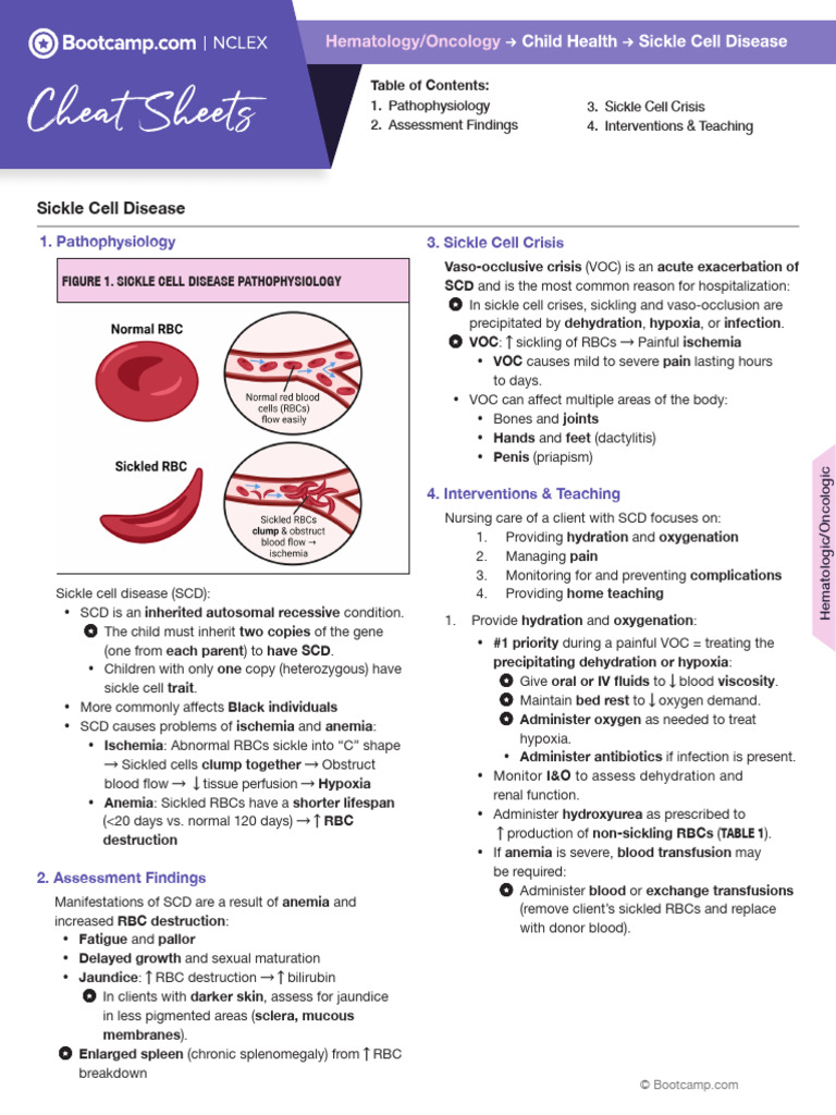 Sickle Cell Disease | PDF | Medical Specialties | Clinical Medicine