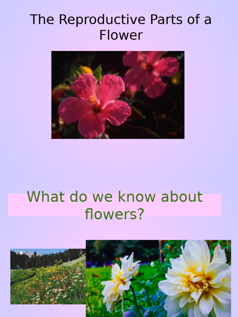 Flower Reproduction Notes | PDF