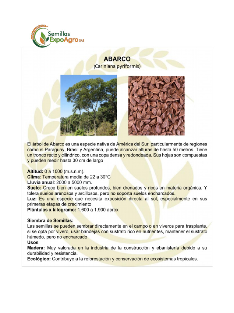 ABARCO | PDF