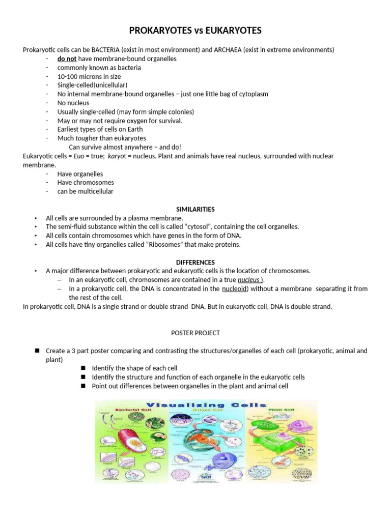Prokaryotes vs Eukaryotes Guide | PDF | Cell (Biology) | Eukaryotes