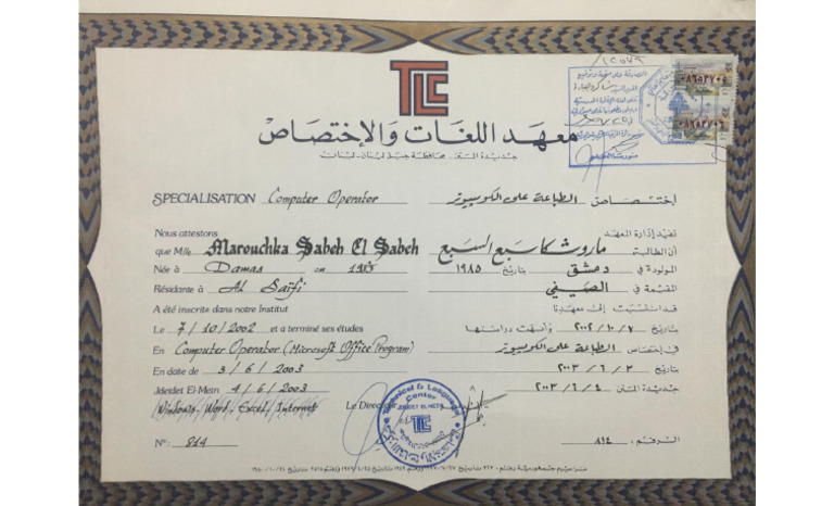 Certificate Computer Operator | PDF