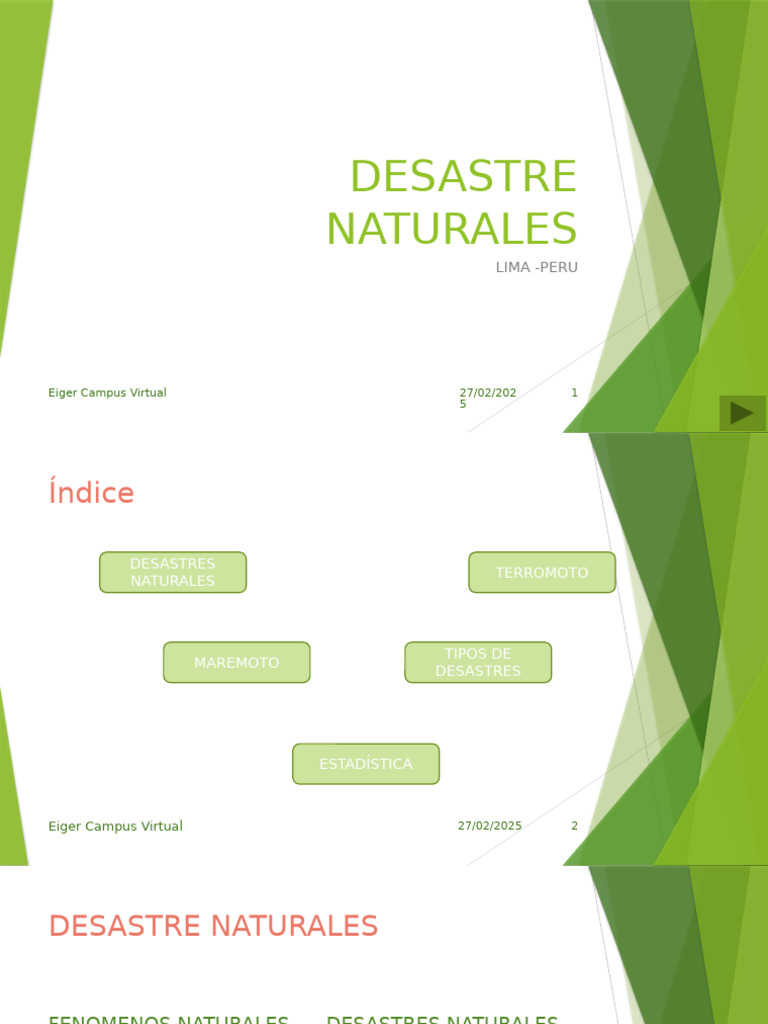 Desastre Naturales | PDF | Temblores | Tsunami