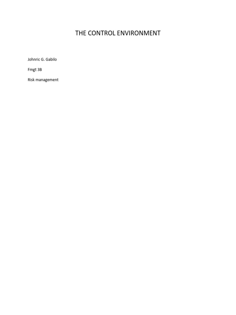 THE CONTROL ENV-johnric Gabilo | PDF | Internal Control | Business