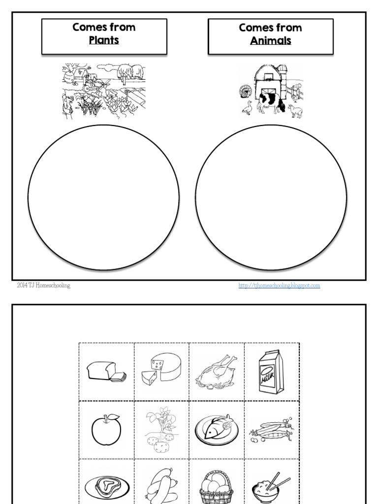 2014 TJ Homeschooling Overview | PDF