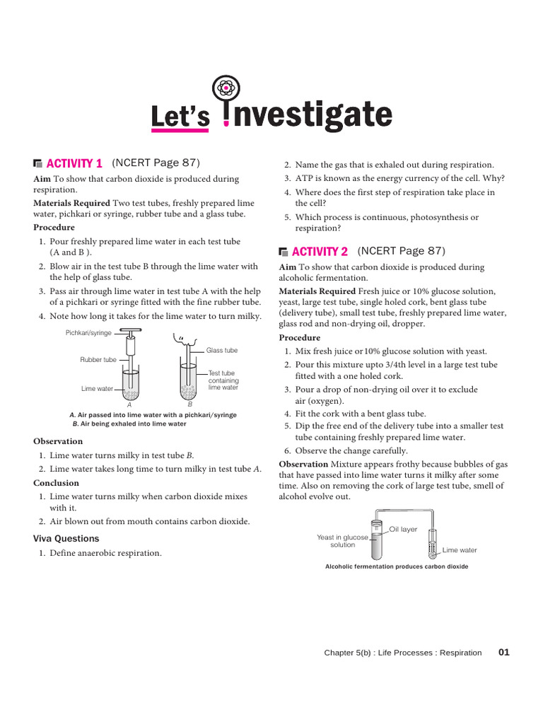 AIO 10th Science Ch. 5b Activity | PDF | Cellular Respiration | Carbon Dioxide