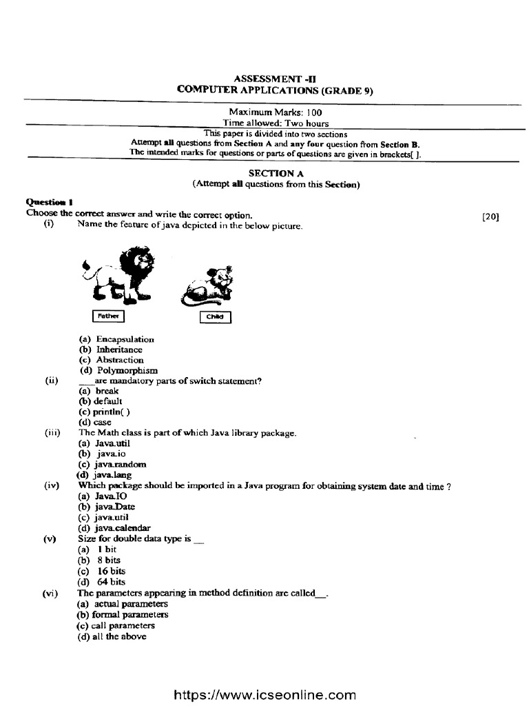 2 Icse Class 9 Assessment 2 Computer Applications 030424 2024 | PDF