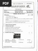 Sponge Absorbency Lab Analysis | PDF | Sponge | Mass