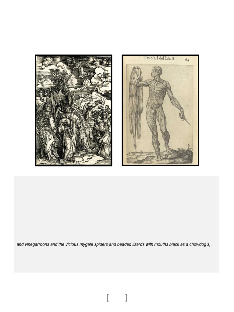 Glossary of Blood Meridian Vocabulary | PDF