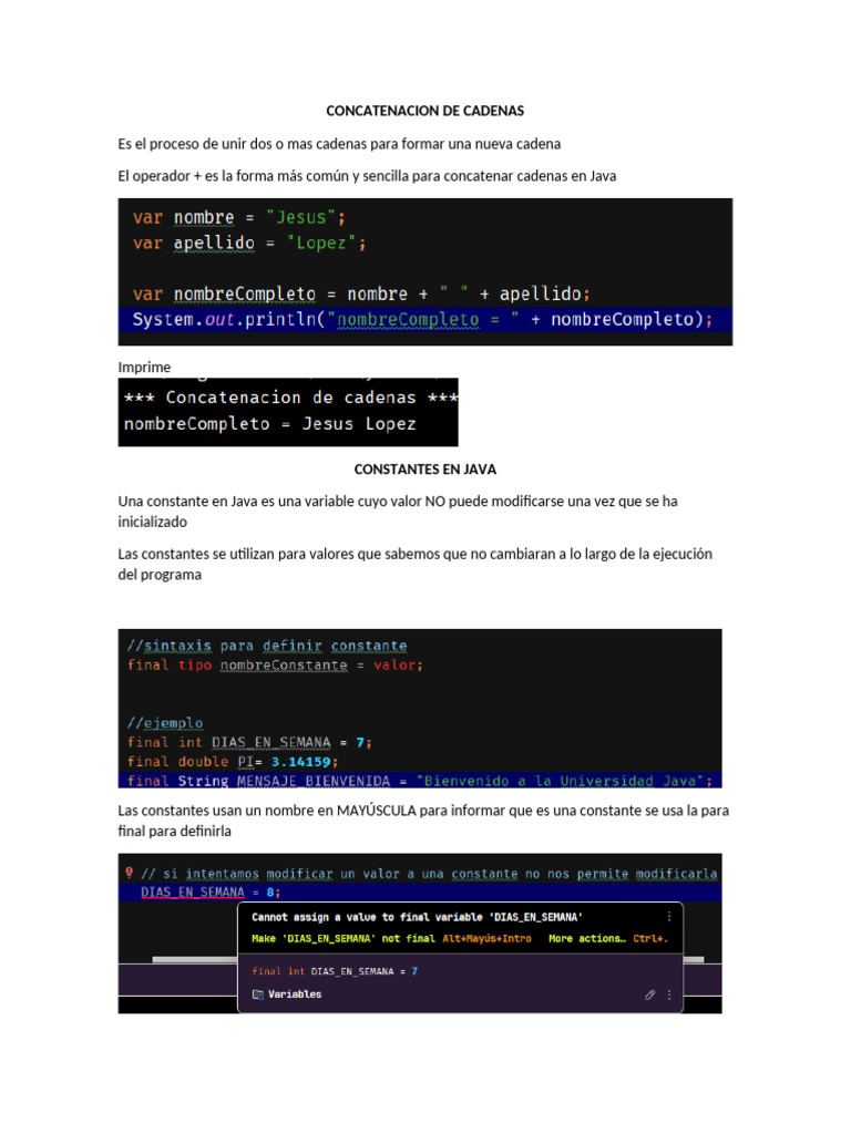 Java: Concatenación y Constantes | PDF