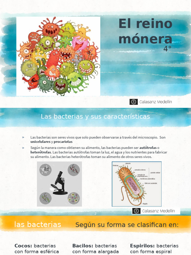 Reino Mónera | PDF | Las bacterias | Plantas