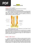 Anatomia do Peritônio e Cavidade Peritoneal | PDF | Peritônio | Corpo ...
