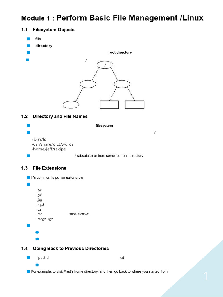LP_Networking | PDF | Command Line Interface | Computer File