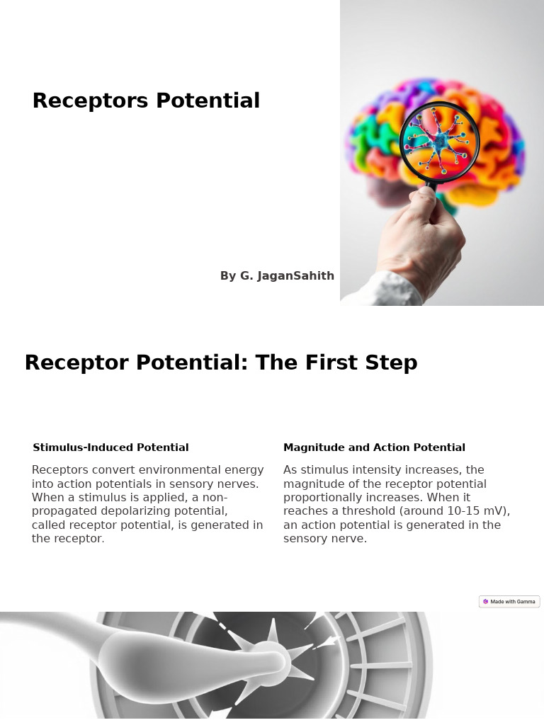 Understanding Receptor Potential Mechanisms | PDF | Stimulus ...