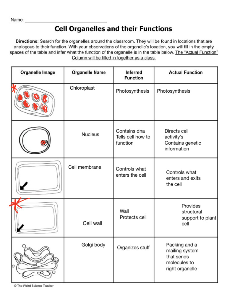 A_Cell_is_Like_a_Classroom_Scavenger_Hunt_-_Handout | PDF